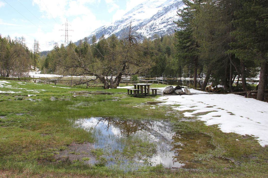 Himmlische Ruhe am Lej Marsch | Engadiner Post/Posta Ladina